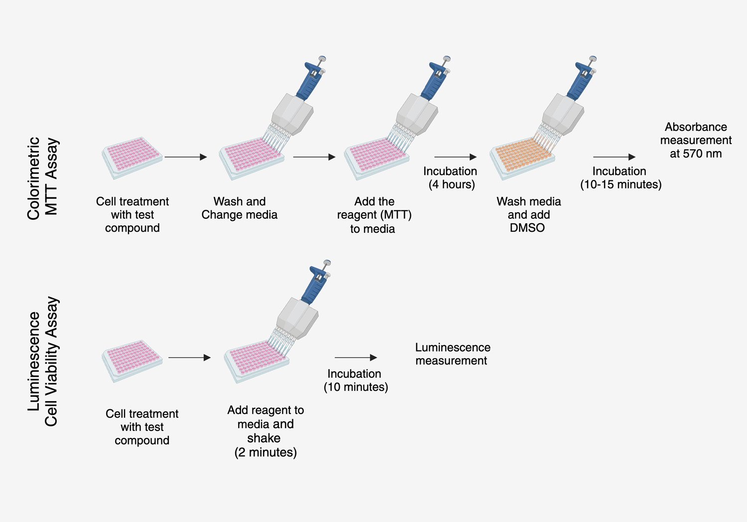 Absorbance vs. Luminescence Assays: Differences & Choosing the Right Method